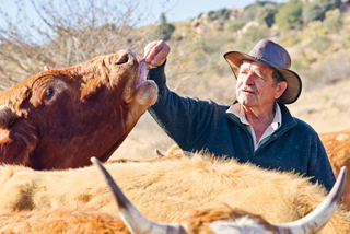 Bruis - Afrikaanse Tydskrif - Trudie Myburgh Media